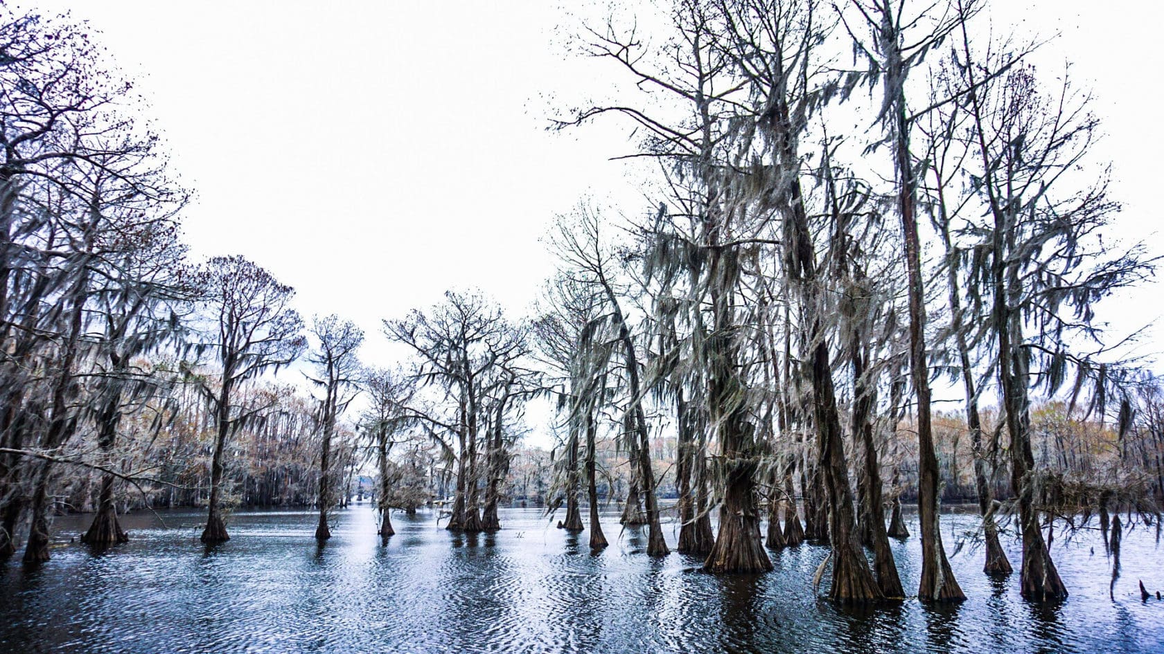 Allons! Explore Louisiana's Secret Spots and Fascinating History ...